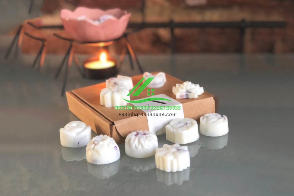 Sáp thơm phòng có hại không? Có nên sử dụng? | Vesinhgreenhouse
